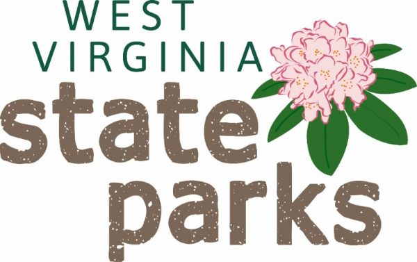 Look up! Perseid meteor shower activities planned at West Virginia ...