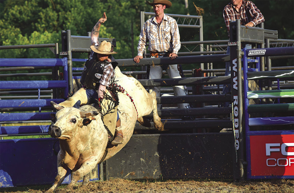 Spiker Farm Bull Ride Friday and Saturday part of national competition ...