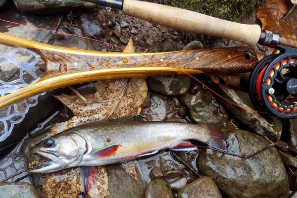 West Virginia Division of Natural Resources project to restore native ...