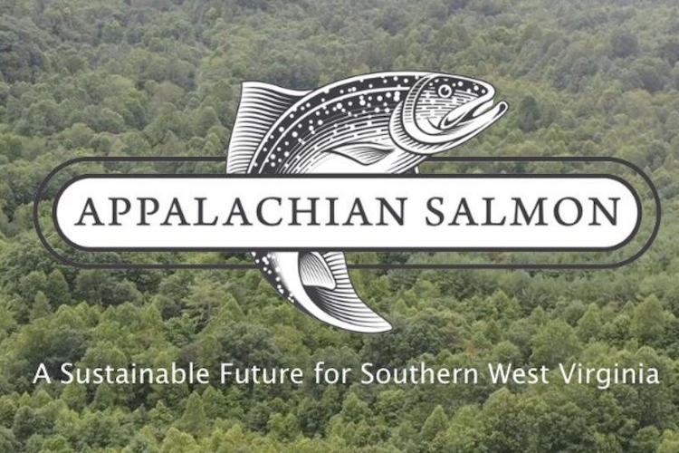 Caperton investor group bringing salmon farm to Appalachia - West ...