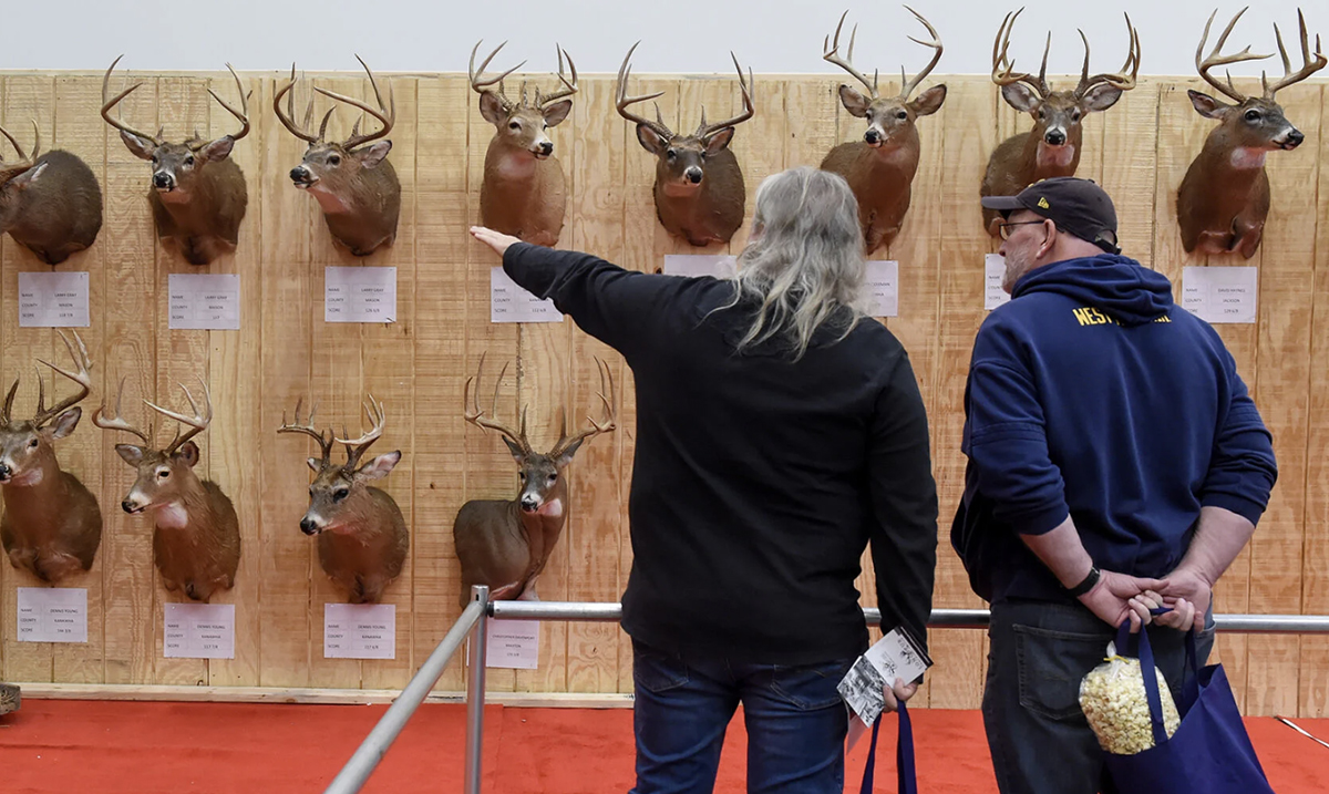 Hunting and Fishing Show returns to Charleston this weekend. Here's ...